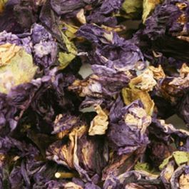 Baldwins Blue Mallow ( Malva sylvestris ) Flowers | G Baldwin & Co