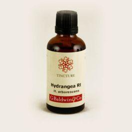 Baldwins Hydrangea ( Hydrangea arborescens ) Herbal Tincture | G ...