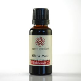 Baldwins Black Root ( Leptandra Virginica ) Herbal Fluid Extract | G ...
