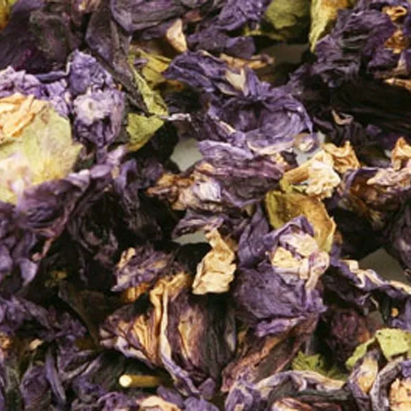 Baldwins Blue Mallow ( Malva sylvestris ) Flowers | G Baldwin & Co