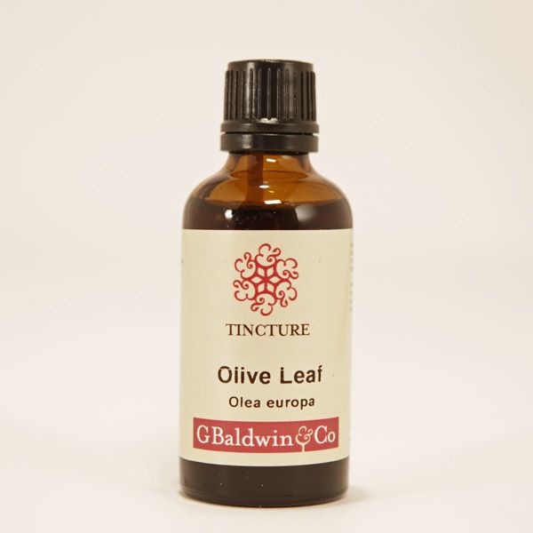 Baldwins Olive Leaf Tincture | G Baldwin & Co