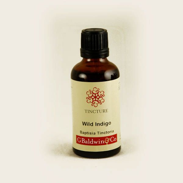 Baldwins Wild Indigo ( Baptisia Tinctoria ) Herbal Tincture | G Baldwin ...