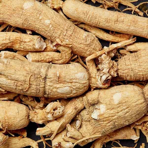 Baldwins Ginseng Red (ren Shen) Chinese Root | G Baldwin & Co
