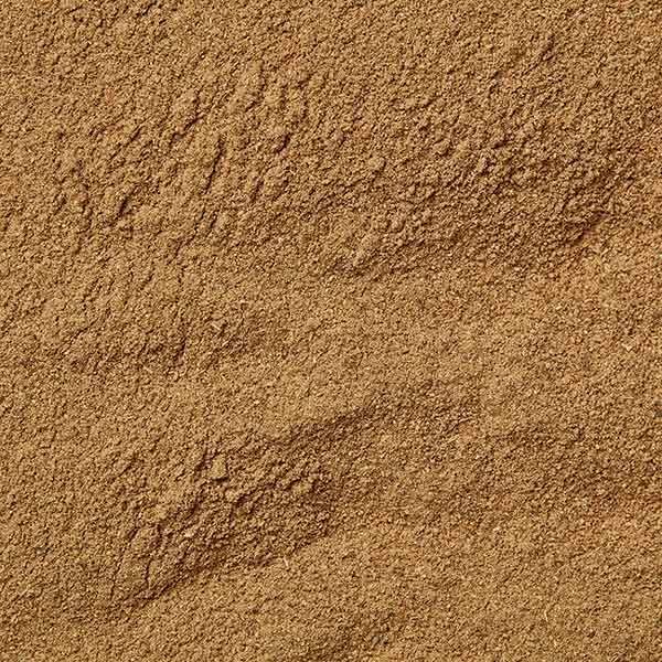 Baldwins Gentian Root Powder ( Gentiana Lutea ) | G Baldwin & Co