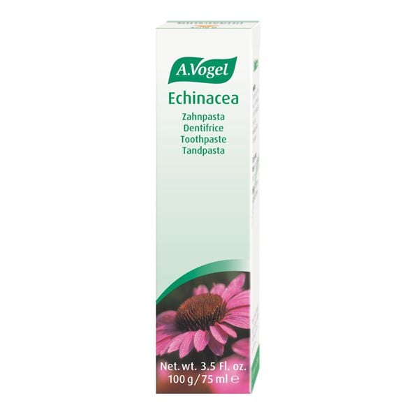 A Vogel Echinacea Toothpaste 72ml | G Baldwin & Co