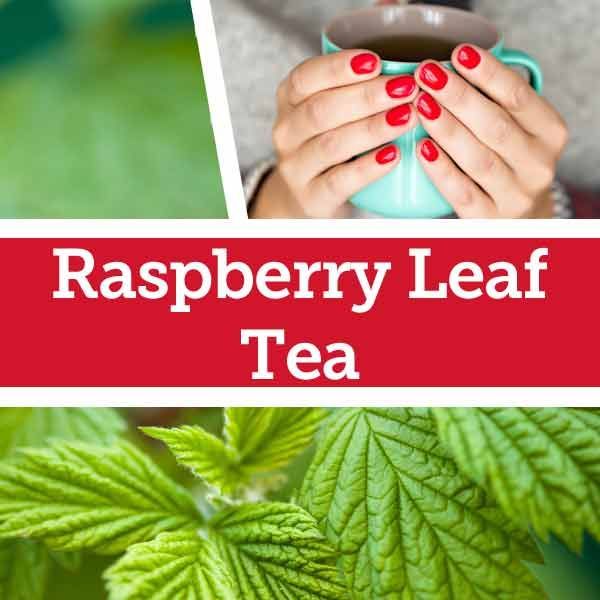 red raspberry leaf tea uk
